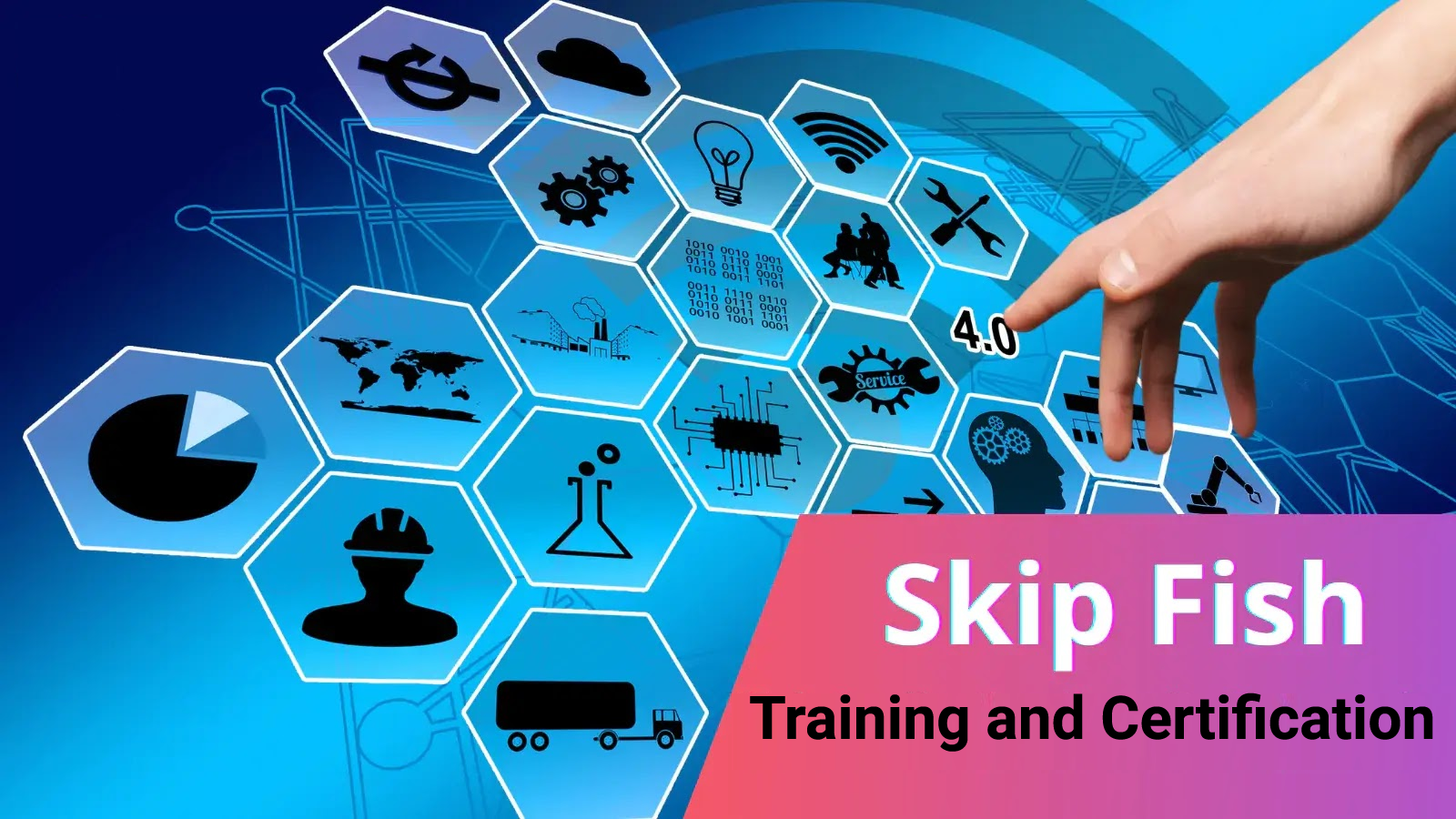 Skipfish Training and Certification Course - cmsGalaxy